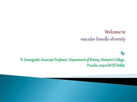 T S In Stem And Root Type Of Vascular Bundles Pptx