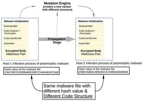 Data Augmentation Based Malware Detection Using Convolutional Neural Networks Peerj