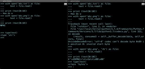 A Comprehensive Guide To Migrating From Python 2 To Python 3 Scout