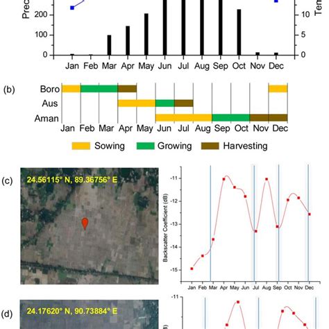 Pdf High Resolution Paddy Rice Maps In Cloud Prone Bangladesh And