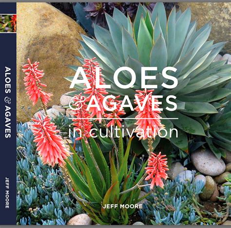 Aloes And Agaves In Cultivation By Jeff Moore Goodreads