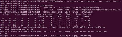 Cilium Cluster Mesh Key Features Limitations And Quick Tutorial