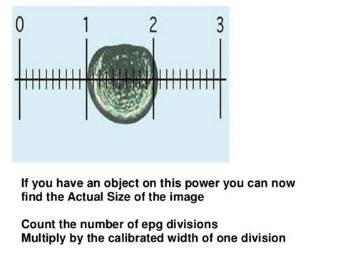 Calibration Of Microscope
