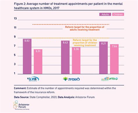 The Day After Project Overview Of The Mental Healthcare System Civil