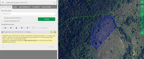 Сигнал за незаконна сеч Защити Гората