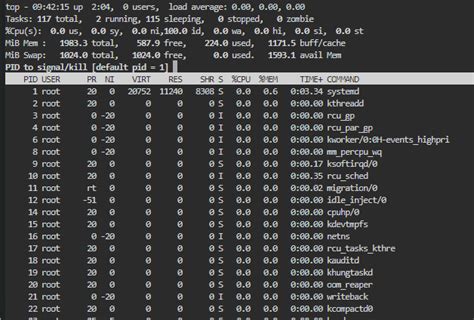How To Monitor System Activity In Linux Top Command Geeksforgeeks