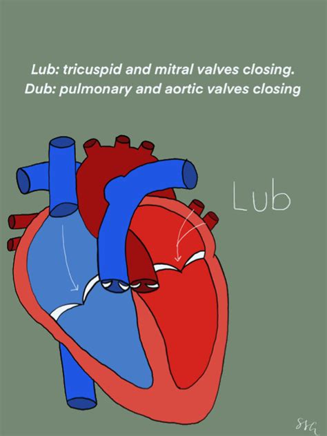 Heart Animation With Sounds