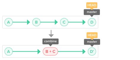 Learn Git Basics