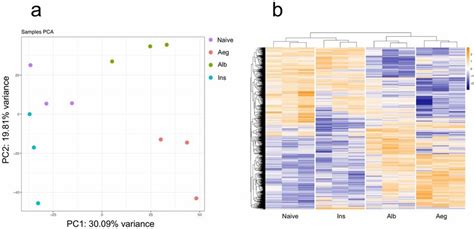 Principal Component Analysis Pca And Heatmap Of Log Expression Download Scientific Diagram