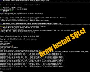 Oracle Sqlcl Easy Command Line Access To Your Database