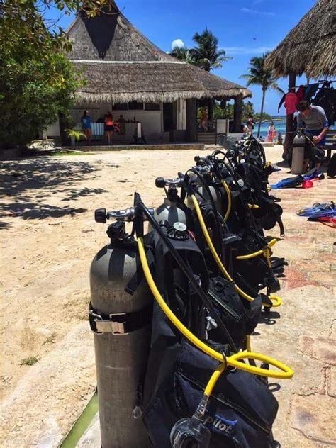 Temui Selam Skuba Di Semenanjung Yucatan Dengan Padi Resort Klook Amerika Syarikat