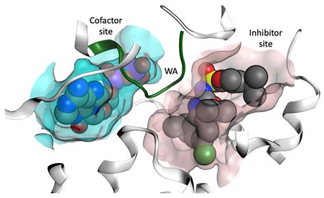 A Selective Review And Virtual Screening Analysis Of Natural Product