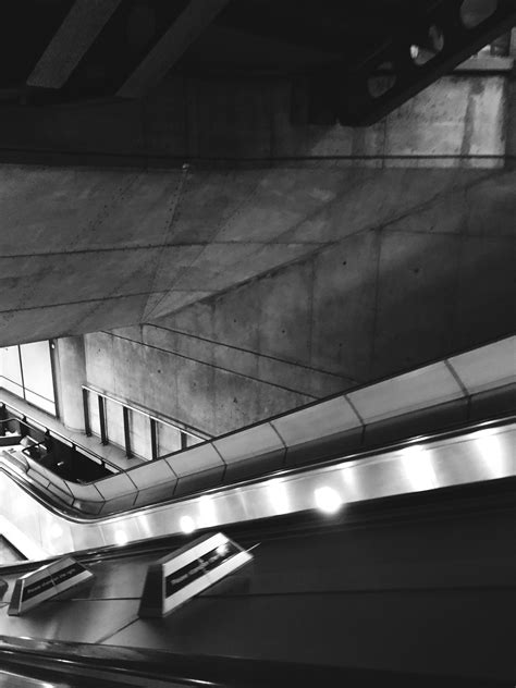 Primary Source Example Mrcamposart