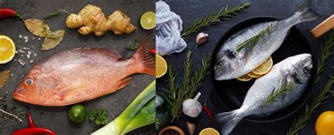 Sea Bream Vs Snapper Which Ocean Delight Reigns Supreme In Taste And