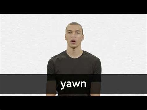 Yawn Definition And Meaning Collins English Dictionary