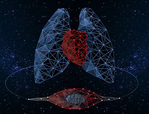 Cuestionario Sobre Función Pulmonar University Quiz Wayground