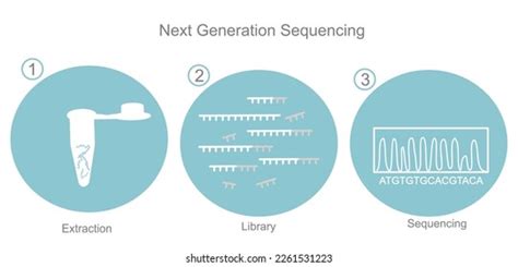 Sequencing Machine Analysis Dna Sequence Interested Stock Vector