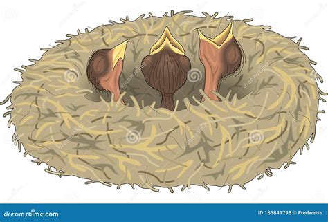 Bird Nest With Chicks Crying Illustration Stock Vector Illustration