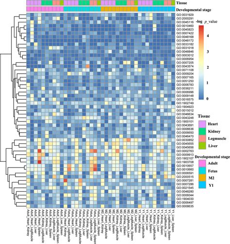 Differential Alternative Splicing Events Dase Across Tissues At The Download High Quality