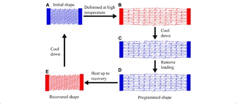 Shape Memory Cycle Of The Lattice Structures In Step 1 The Lattice