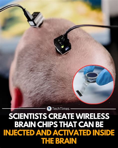 Techtimes Neuroscientists Have Developed A Revolutionary Brain