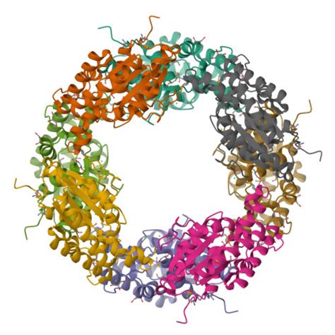Rcsb Pdb 4jhl Crystal Structure Of Of Axe2 An Acetylxylan Esterase