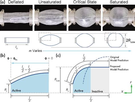 Figure 1 From Refined Modeling For Serial Pneumatic Artificial Muscles Enables Model Based