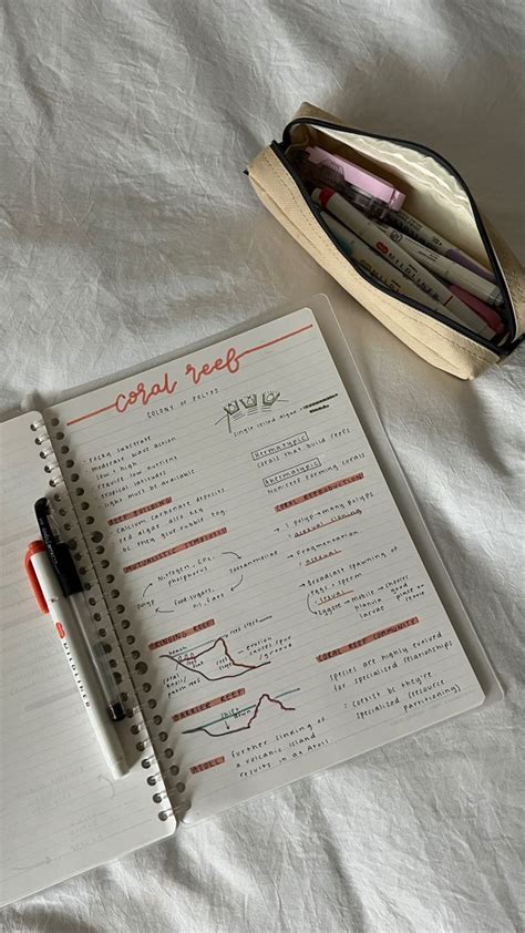 Pin De Alexa Esco En College Titulos Bonitos Para Apuntes Apuntes Escuela