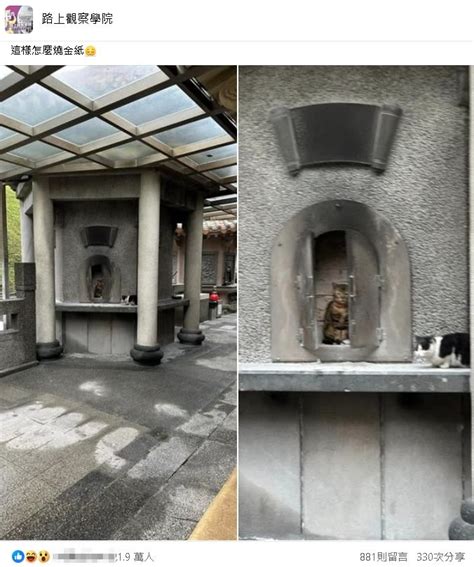 金爐驚見「虎斑喵行員」厭世顧門！網笑翻：虎爺顯靈？