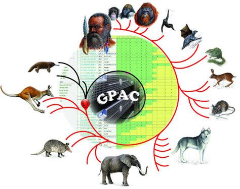 Institute Of Retrogenomics Universität Münster