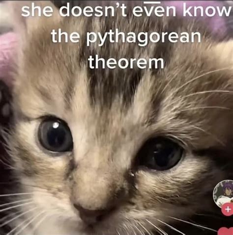 Sine Doesn T Even Know The Pythagorean Theorem IFunny