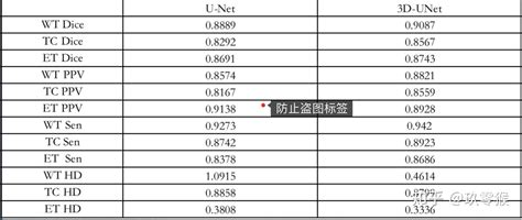 3d U Net脑胶质瘤分割brats Pytorch实现3d Unet Csdn博客
