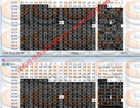 会员管理软件数据库修复 Sybase Asa数据库恢复 Sql Anywhere数据库aes解密恢复