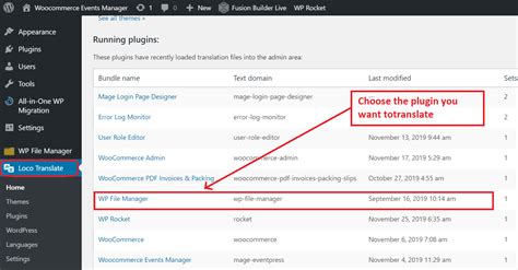 How To Translate Wordpress Plugin To Other Languages Magepeople