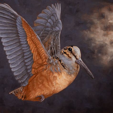 Escape By Moonlight Amanda Ballengee