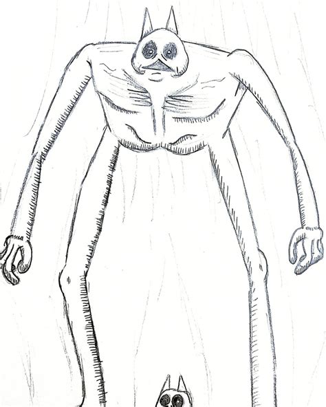 Fan Made Asiluga A Cat That Never Skipped Leg Day People Always Make Fun Of His Feet For