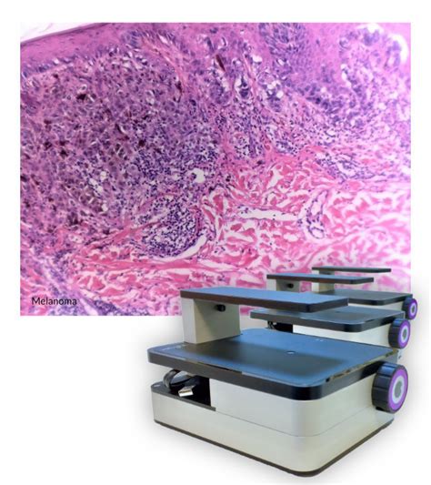 Cell Imaging In The Incubator