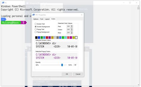 In Terminal Emulators Bash Fails To Render Correct Background Color Issue Microsoft