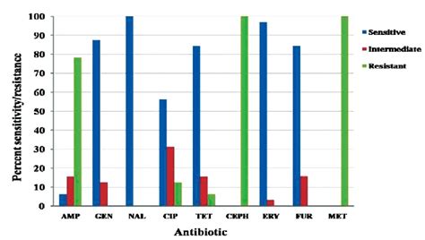 Antibiogram Pattern Of C Jejuni Isolates N 32 Amp Ampicillin Download Scientific Diagram