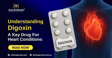 Understanding Digoxin A Key Drug For Heart Conditions Elite Expertise