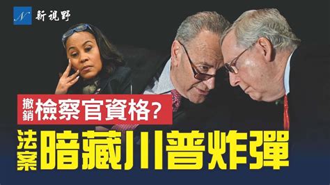 舒默在法案中設陷阱，伺機彈劾川普。梅拉尼婭現身超級maga慶典。喬治亞州檢察官或被撤銷資格。美國大選 川普 彈劾 新視野 第1296