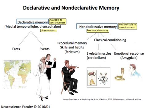 declarative memory