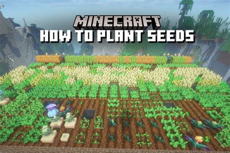 How To Plant Seeds In Minecraft Complete Guide For All Crops