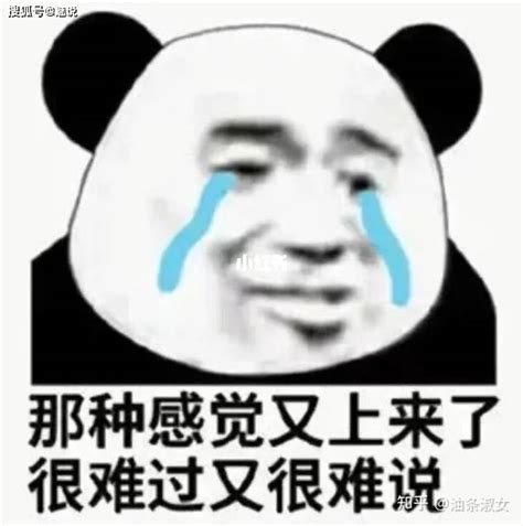 江苏女幼师“出轨门”事件曝光：上瘾性行为，正毁掉成年人 搜狐大视野 搜狐新闻