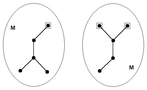 Shows The Maximal Elements Of M And Shows The Minimal Elements Of Download Scientific