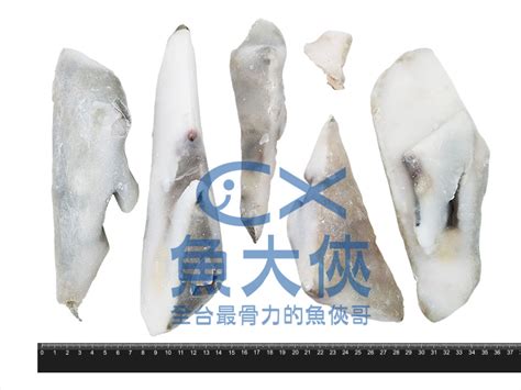 大比目魚 頭刀NG福利品 BRS2N整件 9kg 冰40 件 整件 1F6B魚大俠FH212 大比目魚專區 鮮魚類 舊魚大俠