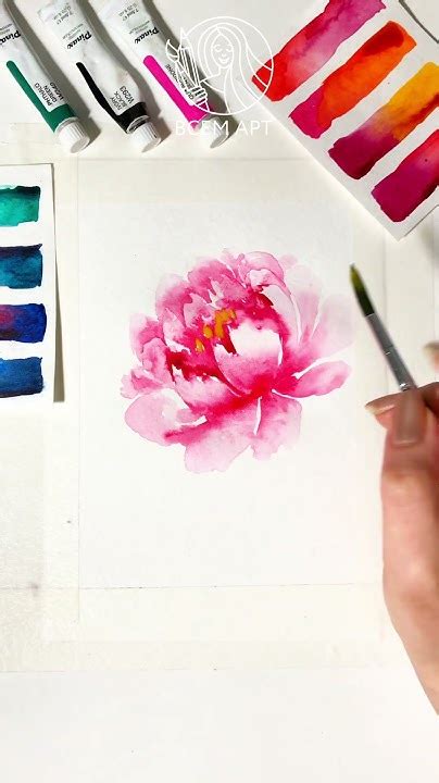 Как нарисовать пион акварелью Короткие уроки рисования от Всем Арт Short Shorts Youtube