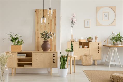 포스터와 식물 자연 거실 인테리어에 나무 찬에 꽃 실제 사진 가구에 대한 스톡 사진 및 기타 이미지 가구 가정 생활