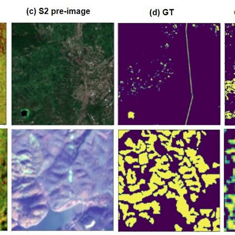 foundation model autoencoder pretrained on reconstruction task