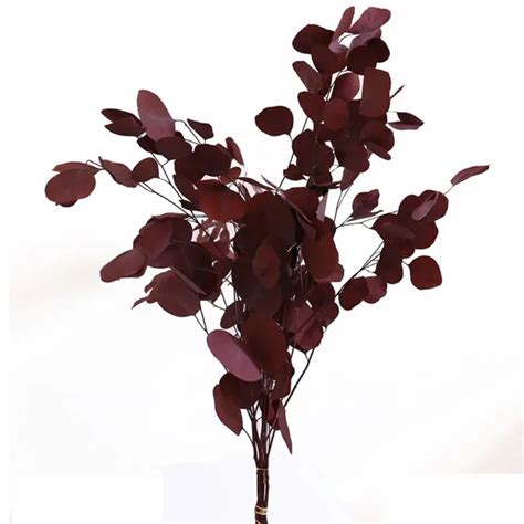 홈 제품 피드백